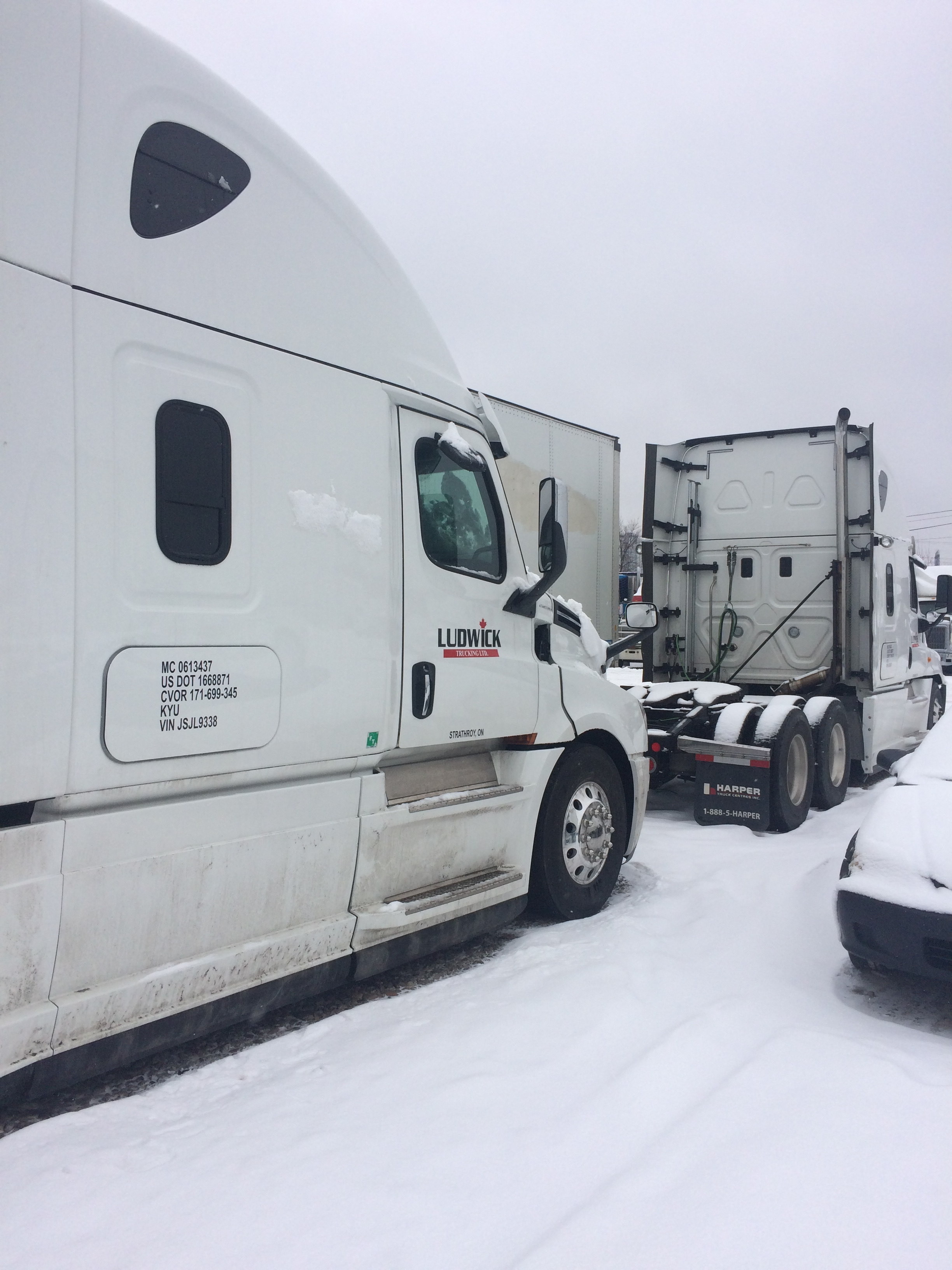 Gallery | ludwick.ca