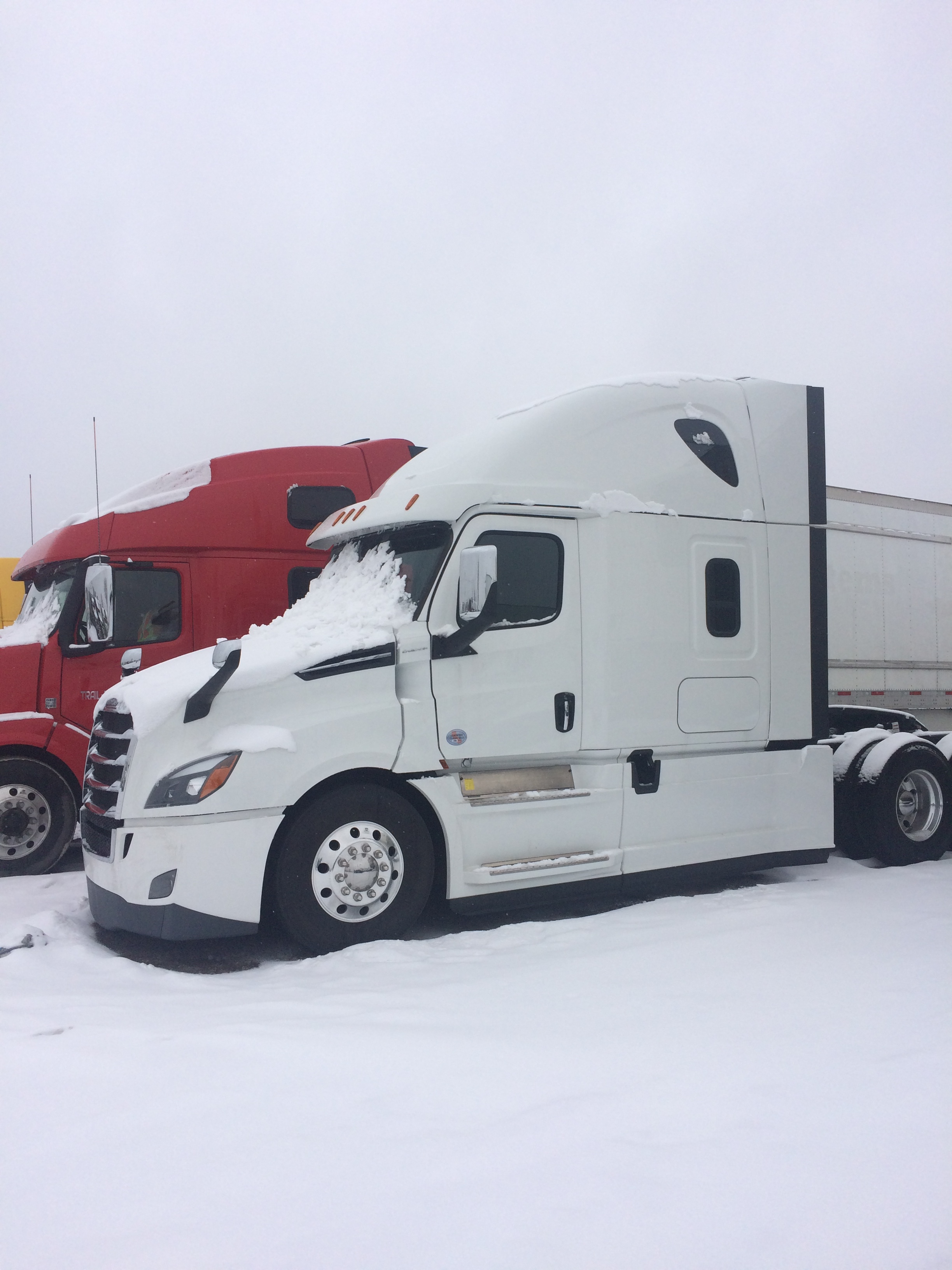 Gallery | ludwick.ca