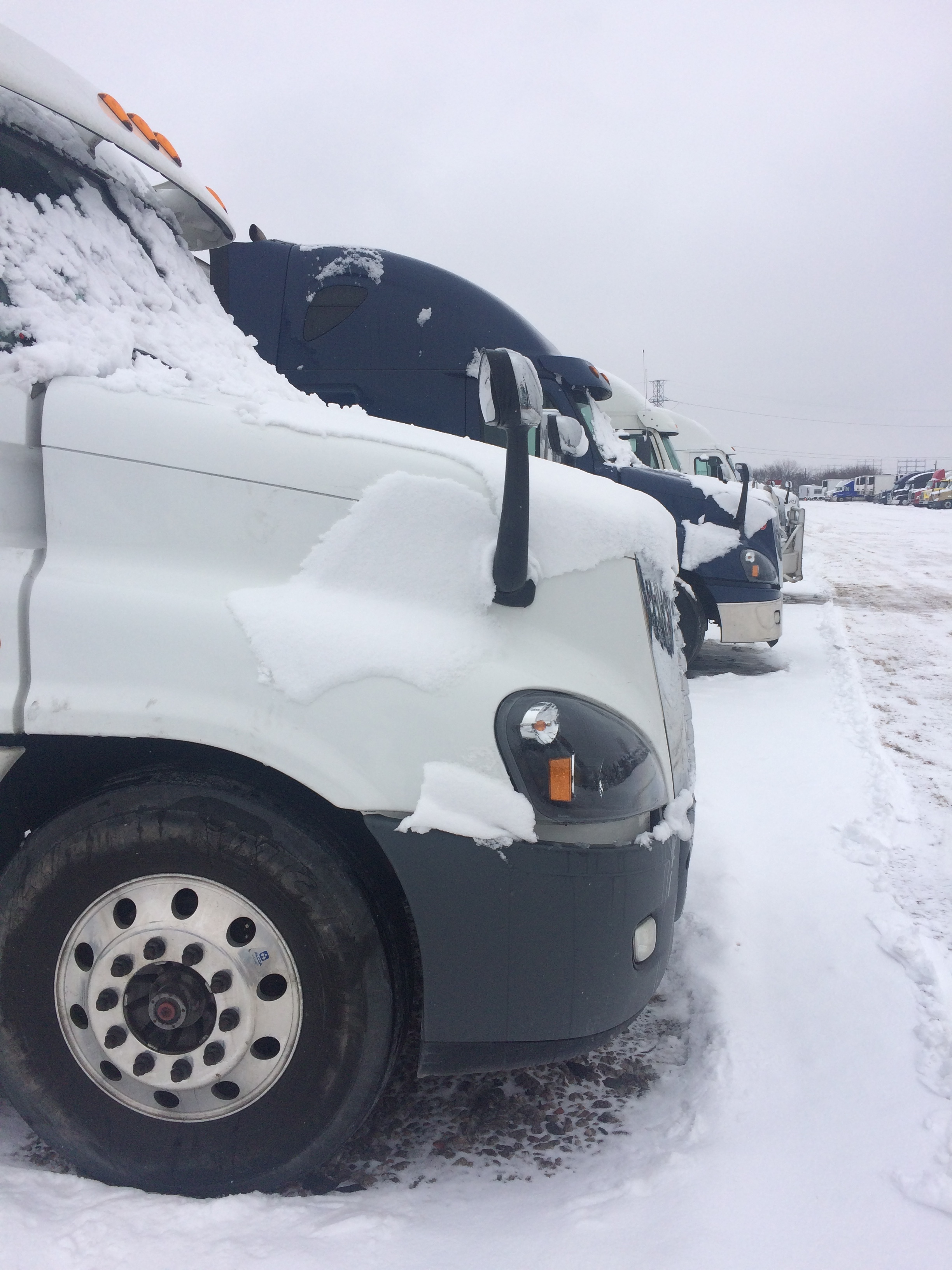 Gallery | ludwick.ca