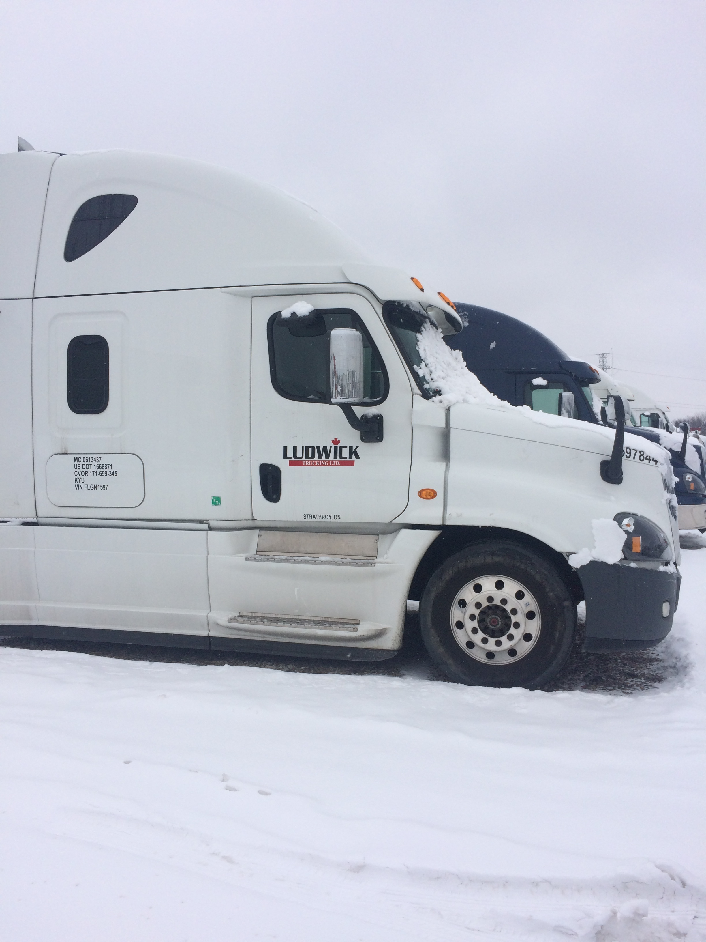 Gallery | ludwick.ca